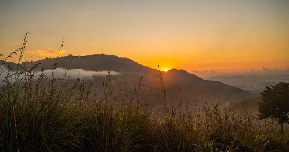 Top Tourist Attractions in Ella & Things to Do
